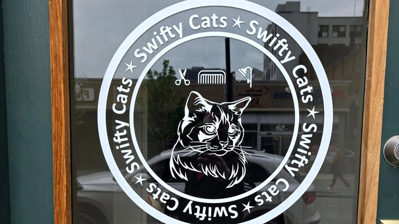 Swifty Cats Brings Cat Grooming to Hoboken - BestofNJ.com